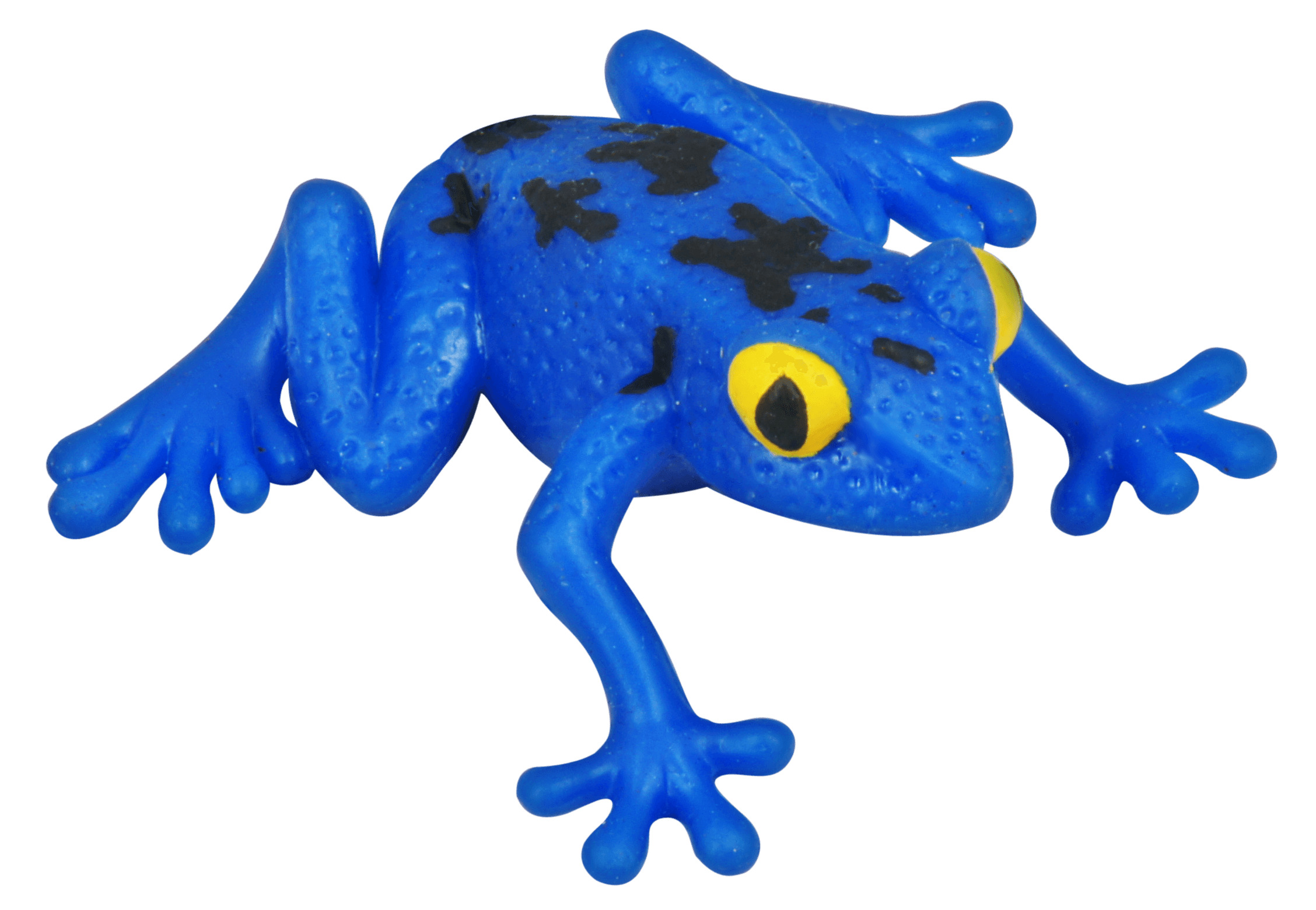 Everite Transworld Limited